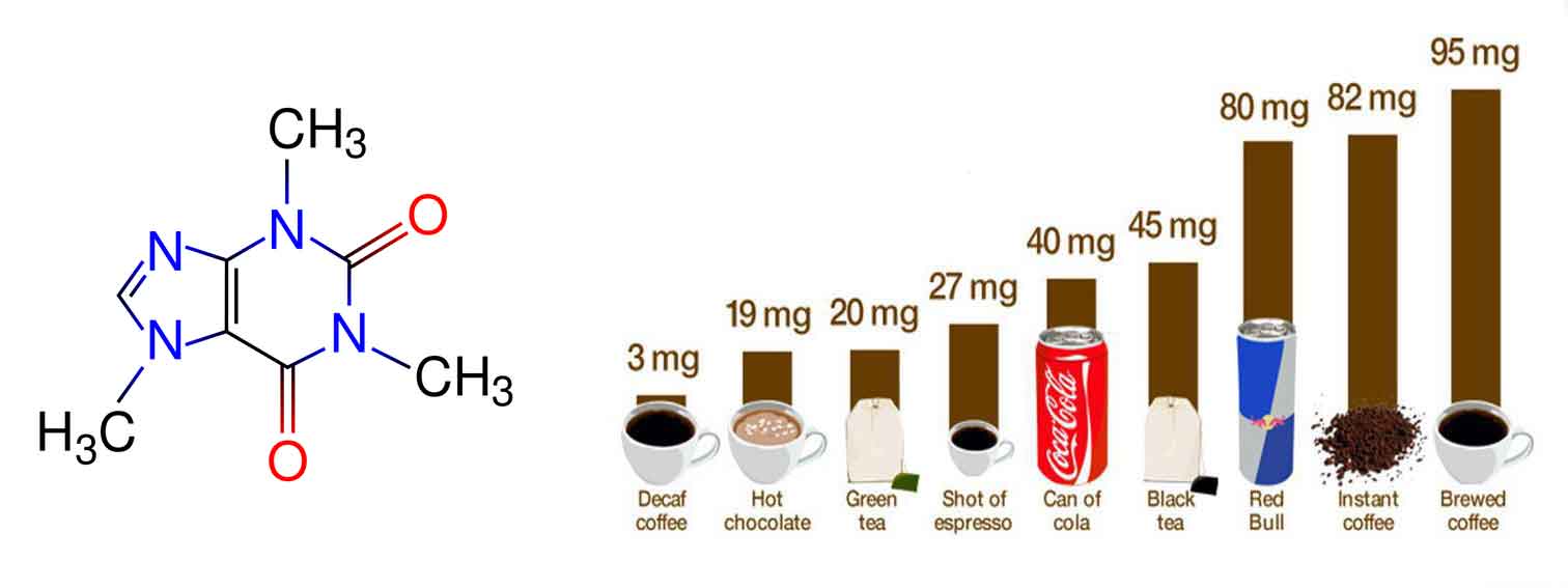 Sejarah Kopi - Sampun Kreatif
