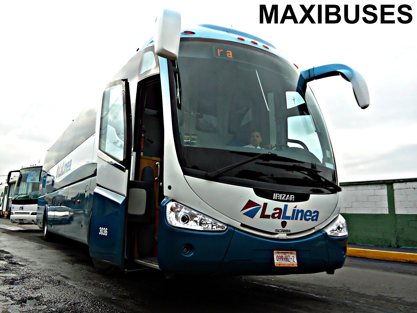 MAXIBUSES: AUTOBUSES DE JALISCO: LA LÍNEA