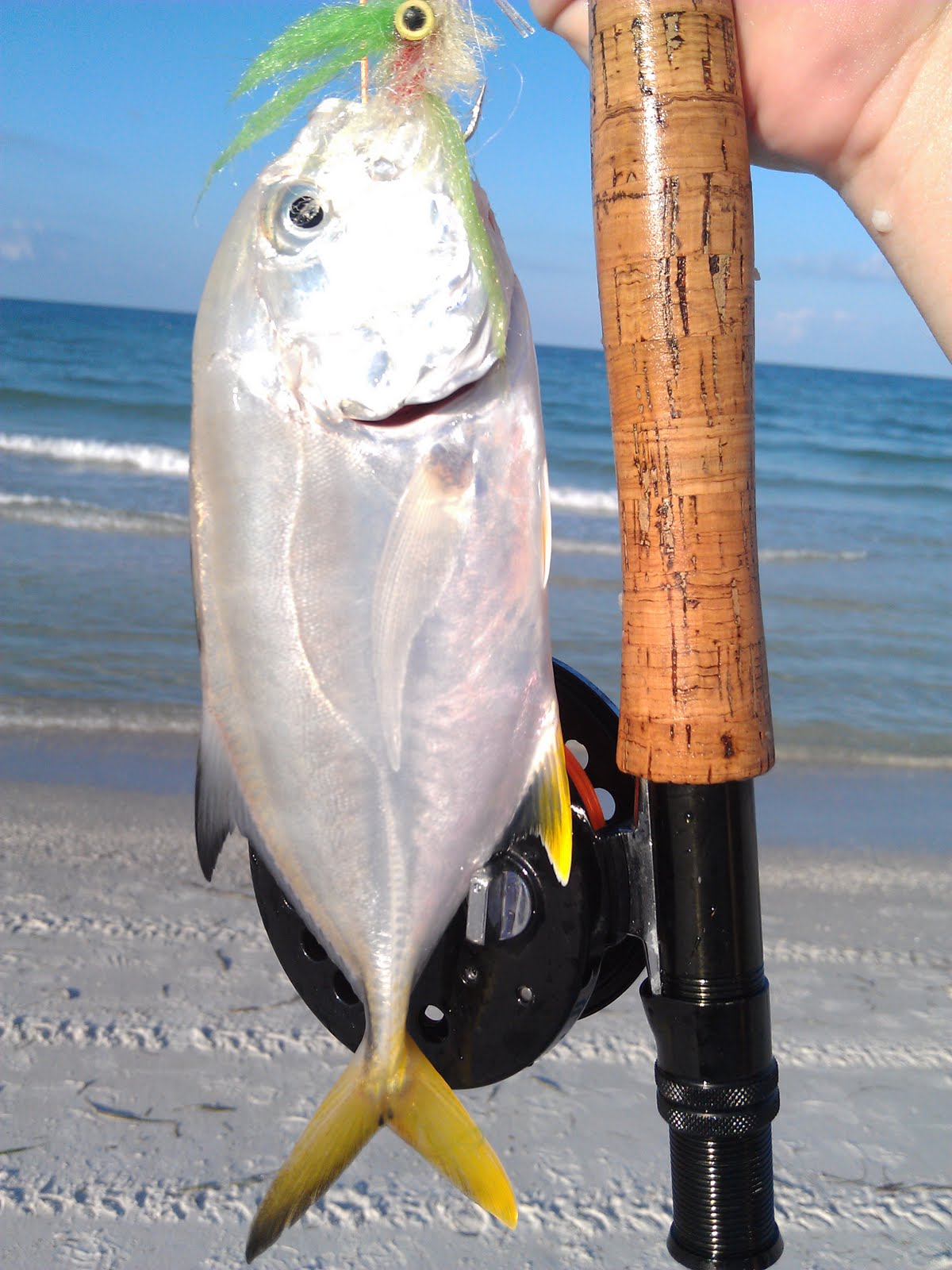 A Year On The Fly: More Florida Surf Fishing