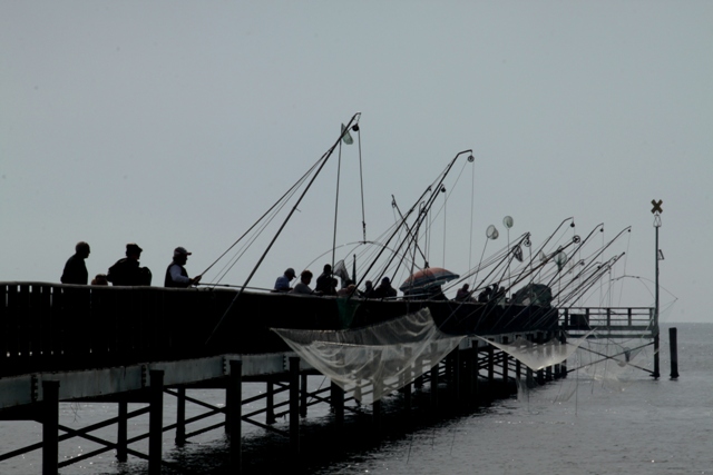 Paolo Bostjancic photographer: Delta del PO