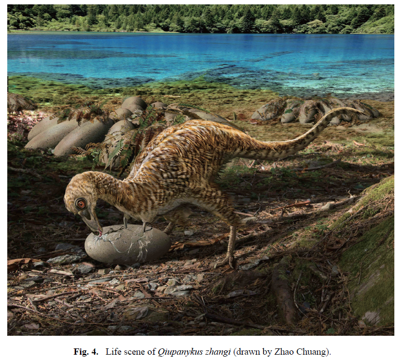 Theropoda: La Leggenda di Oviraptoraptor