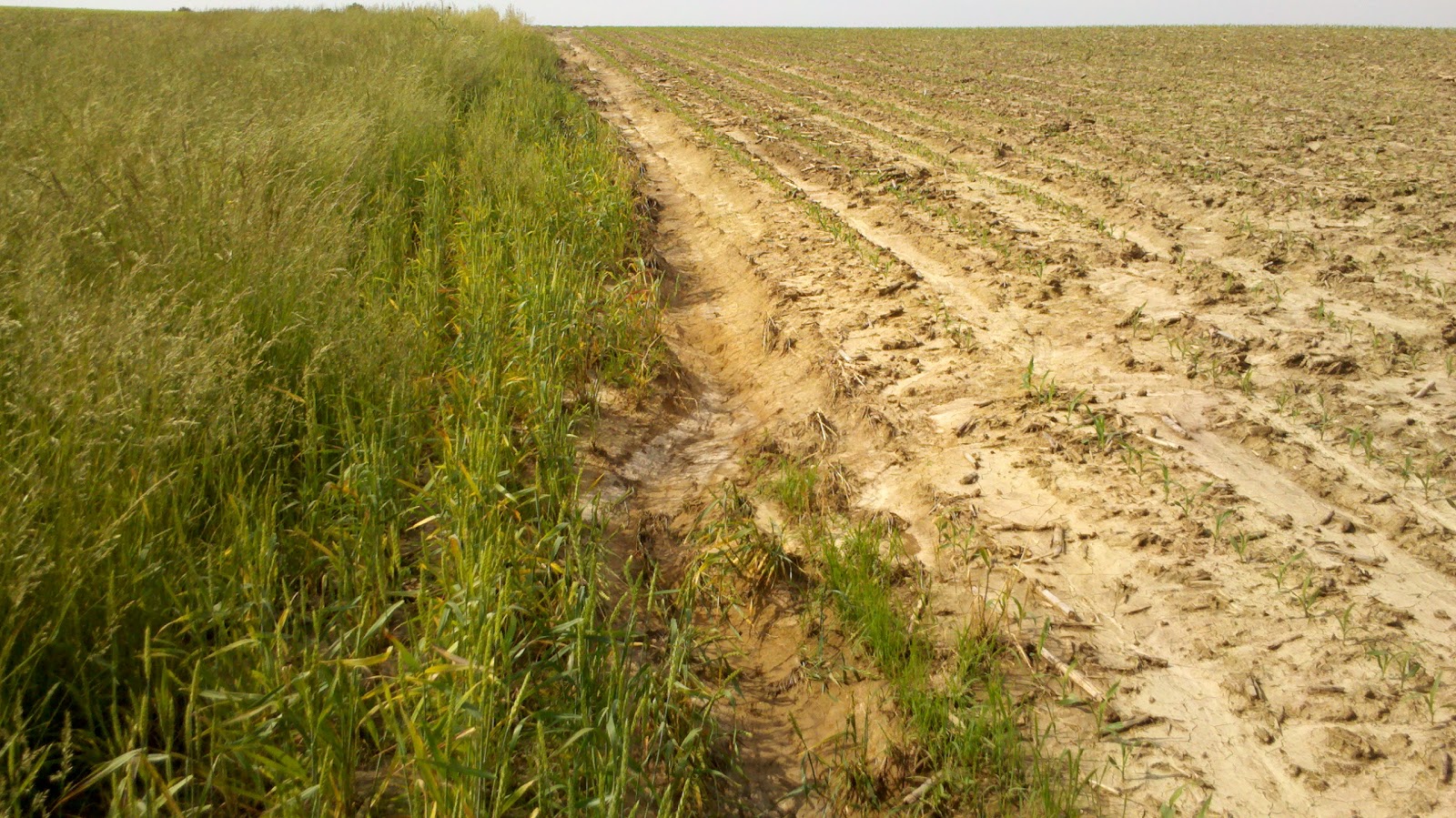 Observations in Agriculture: Erosion was a Problem this Spring