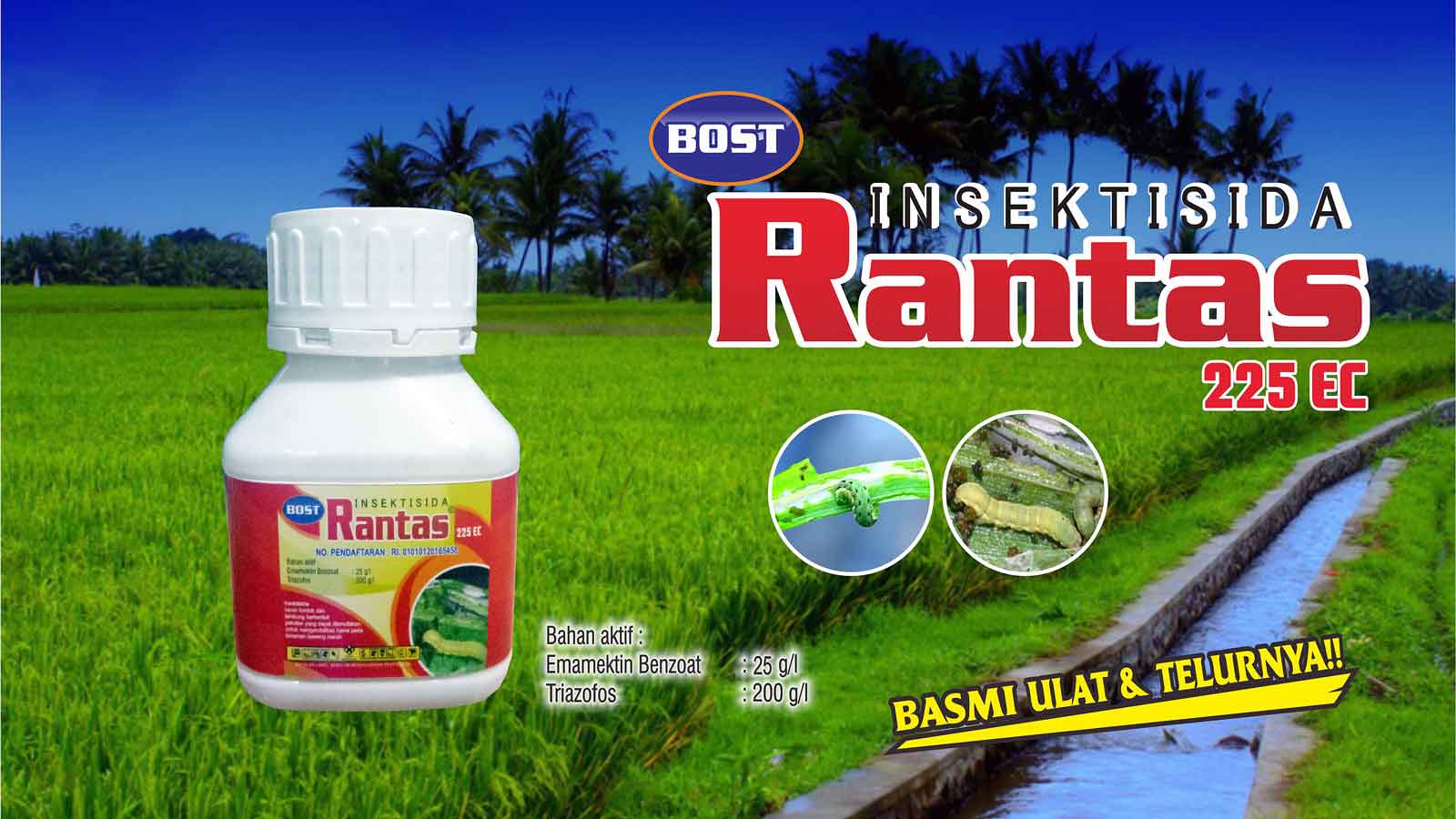 Insektisida RANTAS 225 EC | Boma Sakti Tani