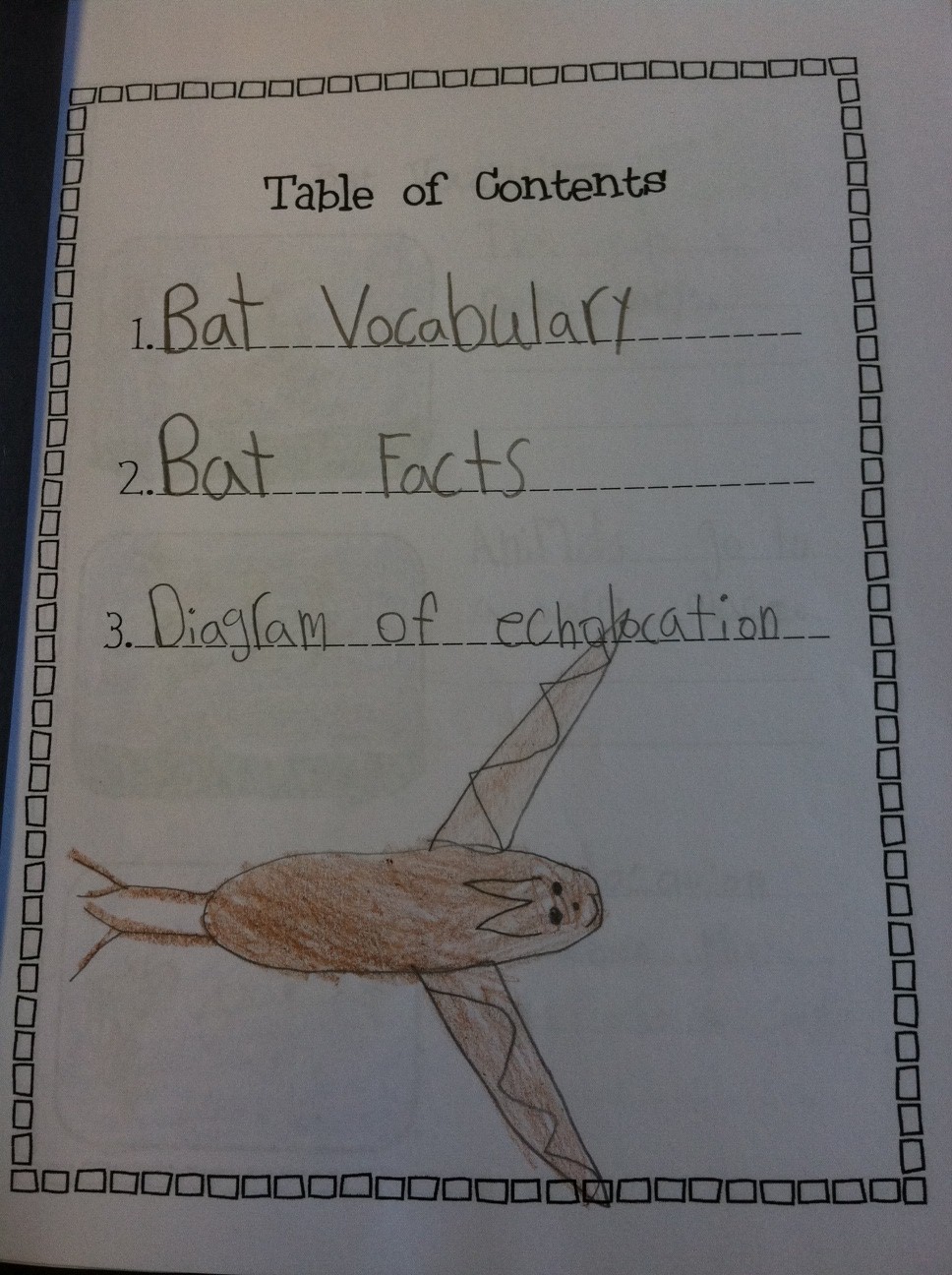 Life in First: Bats and Turkeys