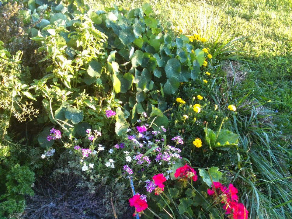 Millay Colony for the Arts