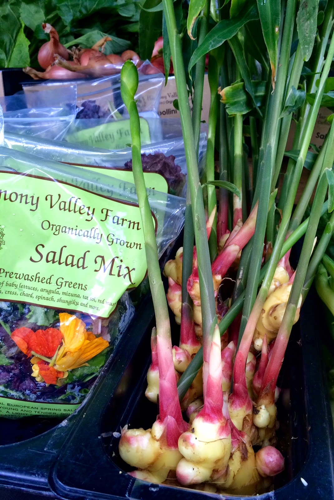 Harmony Valley Farm: Feature: Fresh Baby Ginger