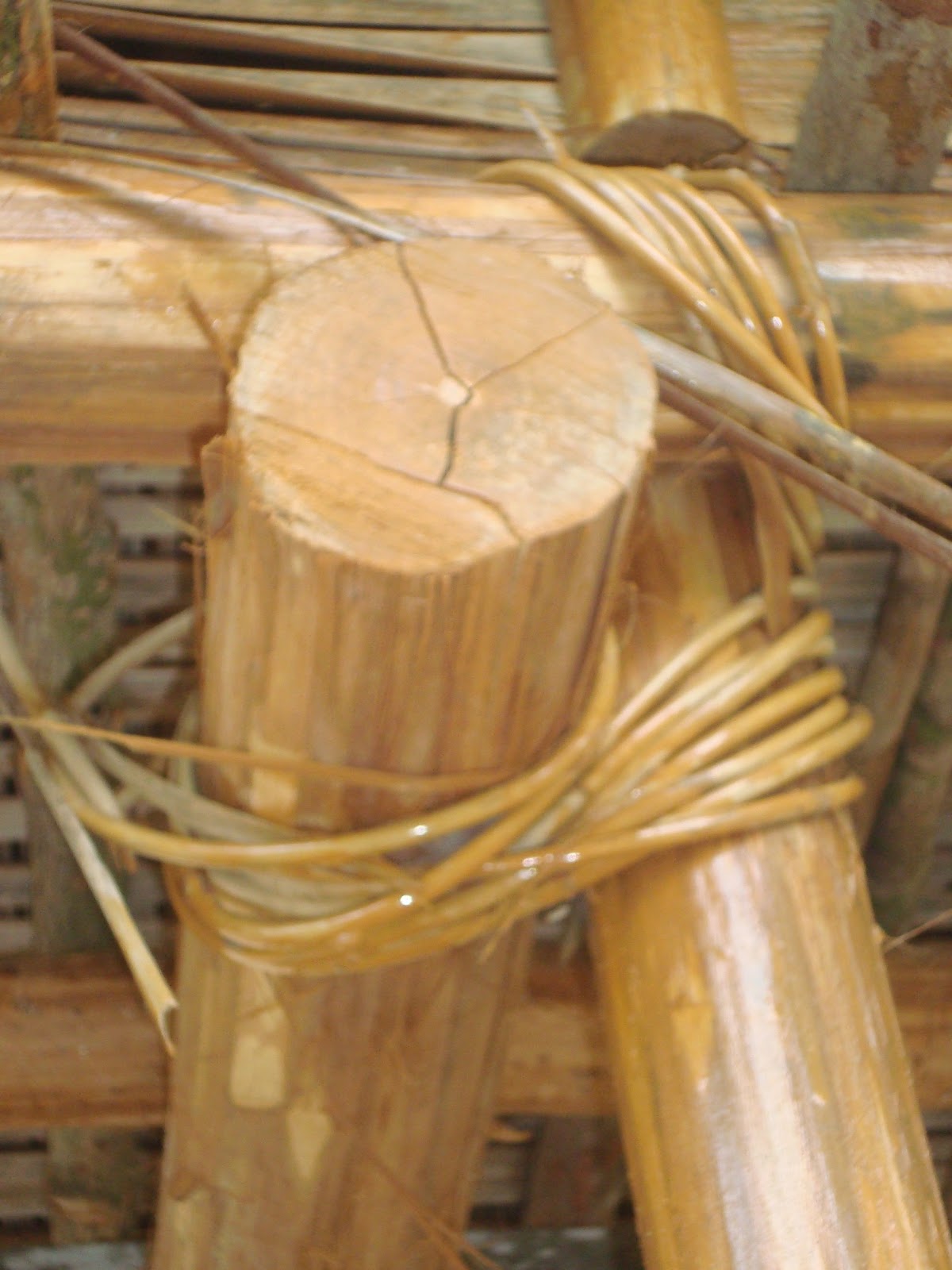 Zainatul Shuhaida: LATAR BELAKANG ORANG ASLI CHE WONG