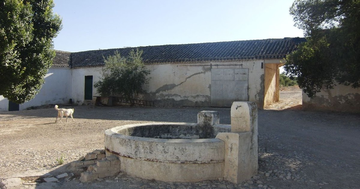 Baeza, Fotografía e Historia: FUENTE DEL JARAFE