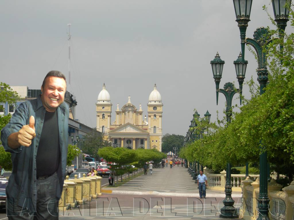 La gaita del decano: .- El vuelo de la gaita