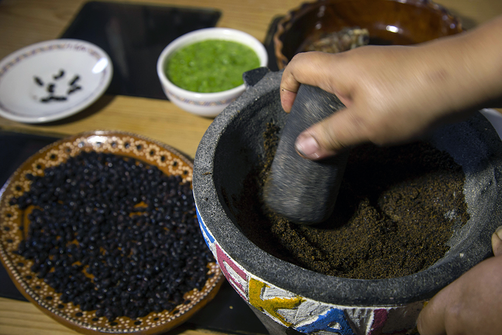 Salsa de chicatanes