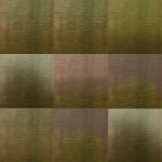 Robert Poole: Realistic Grass Test