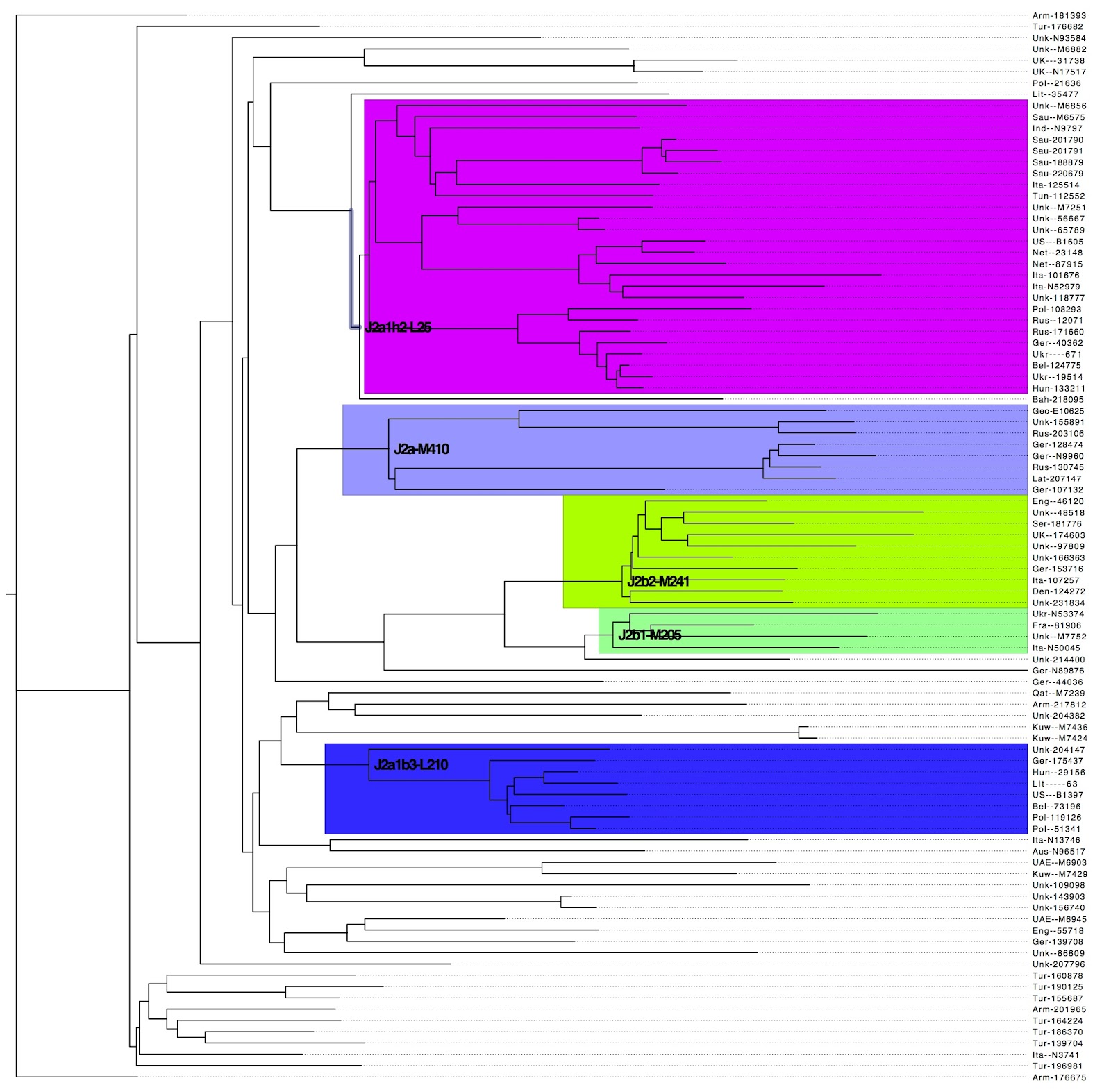 KurdishDNA: Haplogroup J2 tree STR111