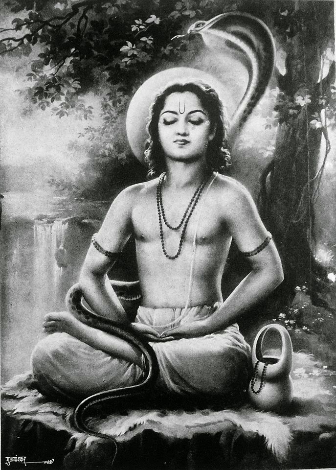 Devaayathana: Saints of Maharashtra - Devotees of Panduranga Vittala