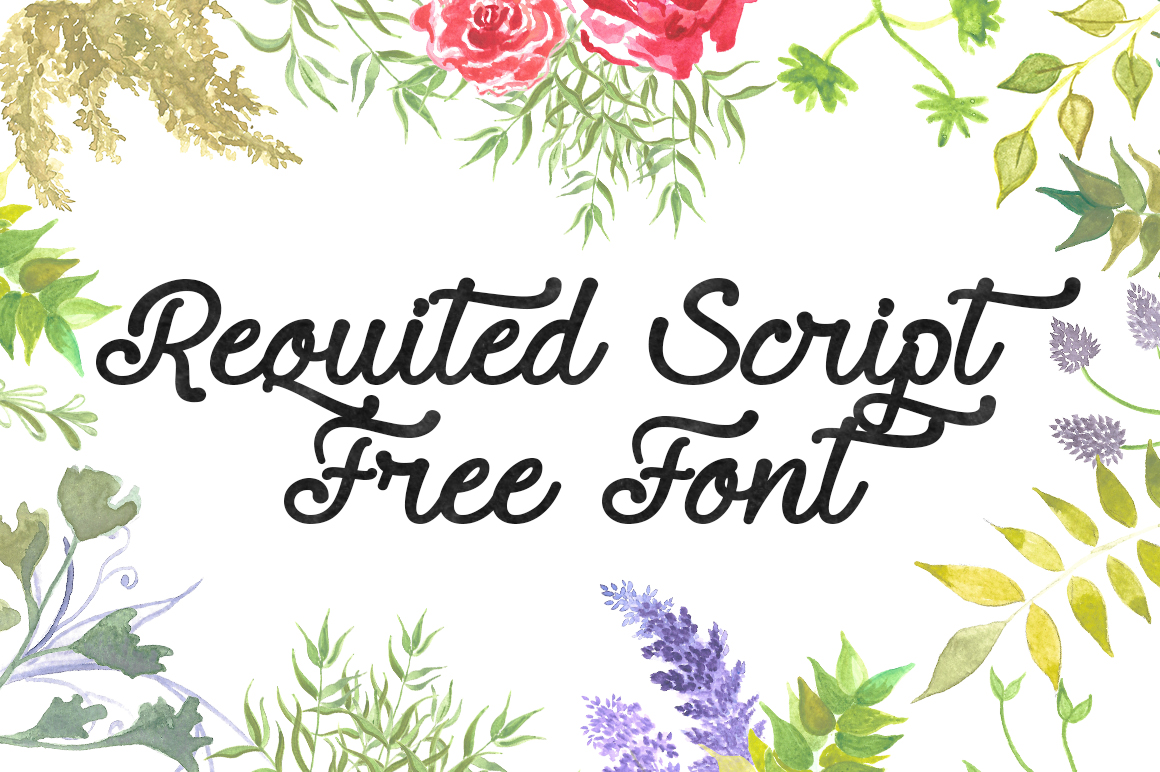 DLOLLEYS HELP: Requited Script Free Font