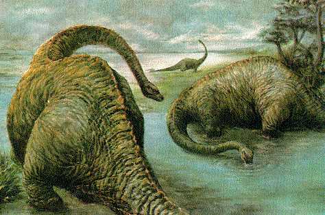 Dinossauros: Diplodoco