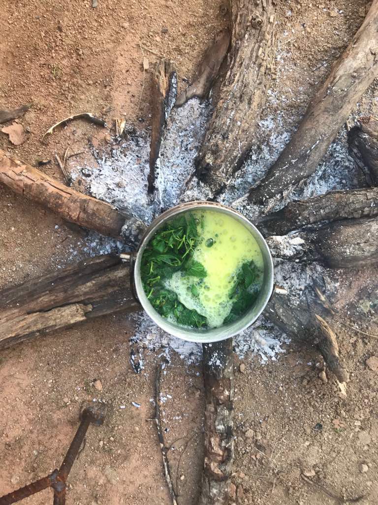 Live from Swaziland ... it's Saturday morning!: The Kingdom of ...