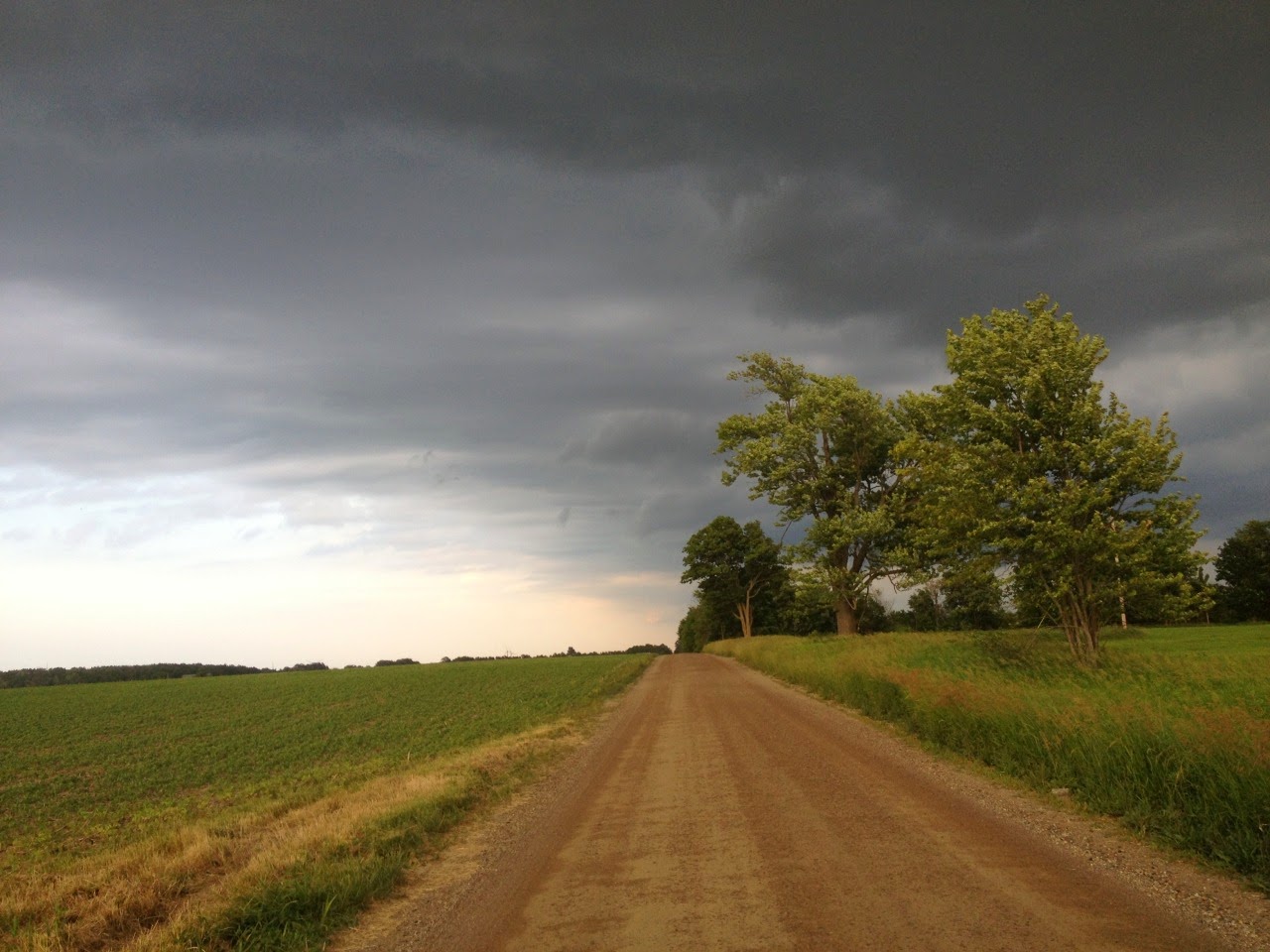 daily timewaster: Friday Open Road