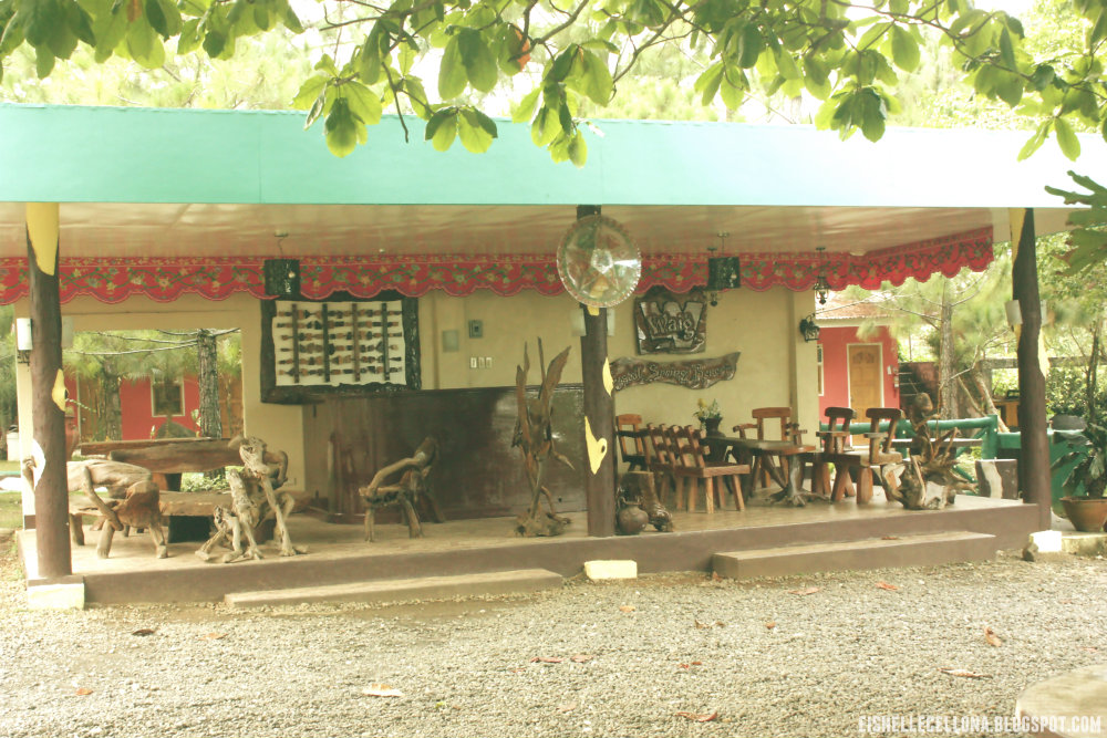 Photographs Are Forever: Day Three: Bukidnon City