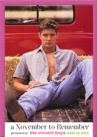 The Bookish Babe: A NOVEMBER TO REMEMBER WITH THE VINCENT BOYS