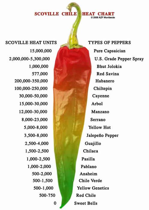 How to measure the Hotness of a Chili Pepper? | Most Interesting Files ...