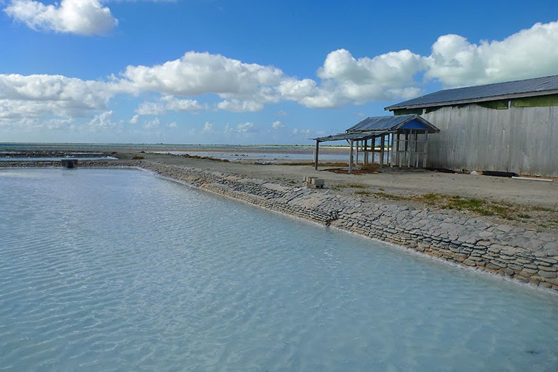 The Adventures of S/V Silhouette: A Snapshot of Life on Kiritimati ...
