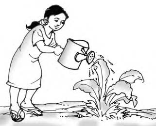Gambar Kartun Siram Pokok Bunga | pokokgempi