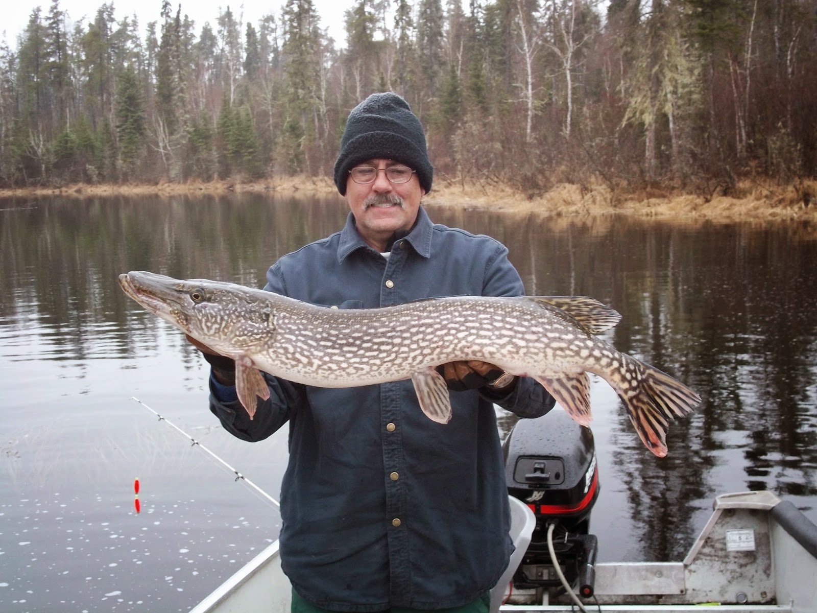 Black Bear Lodge Blog: Biggest Pike of 2014