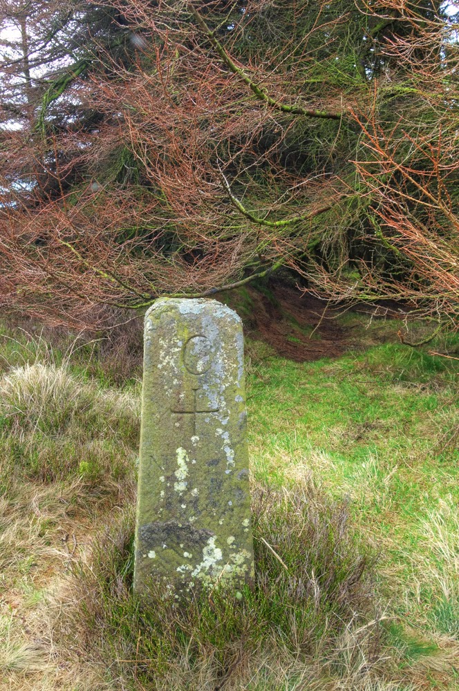 Ravenscar, Harwood Dale & Jugger Howe (North York Moors)