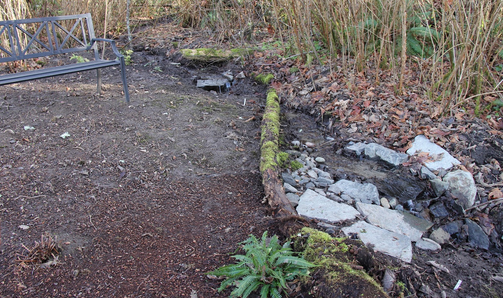 Debbie Angel's Garden: Winter clean-up