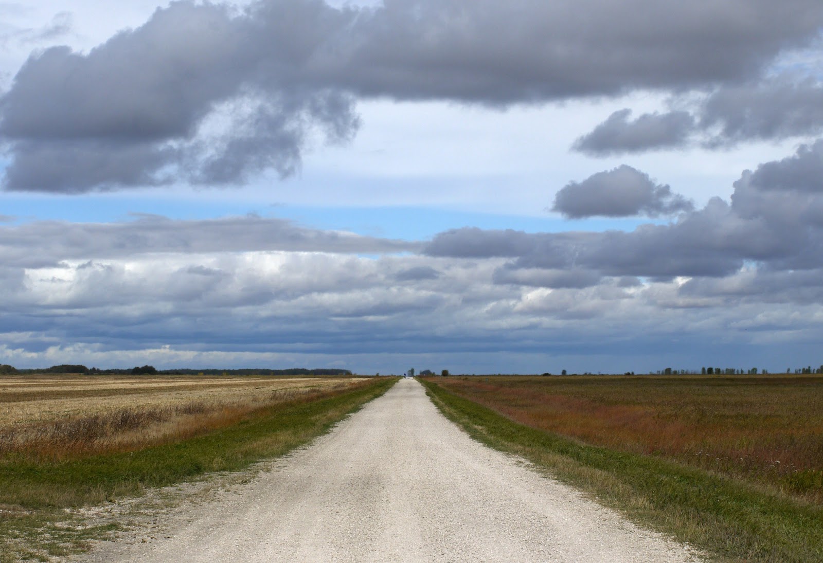 Sense and Simplicity: Winnipeg - Weddings and Wildlife and Windy Prairies