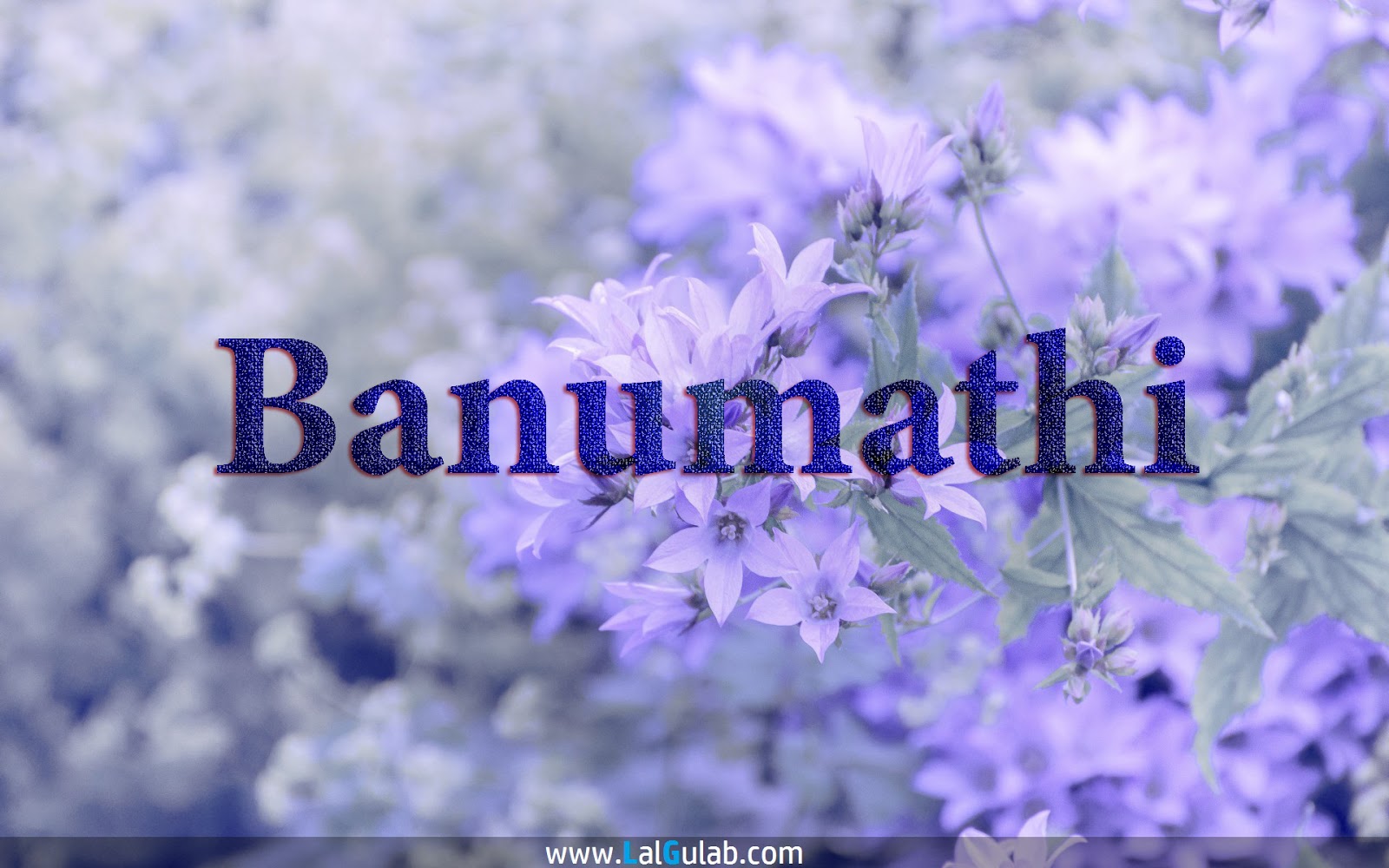 Banumathi Name Wallpapers Banumati ~ Name Wallpaper Urdu Name Meaning ...