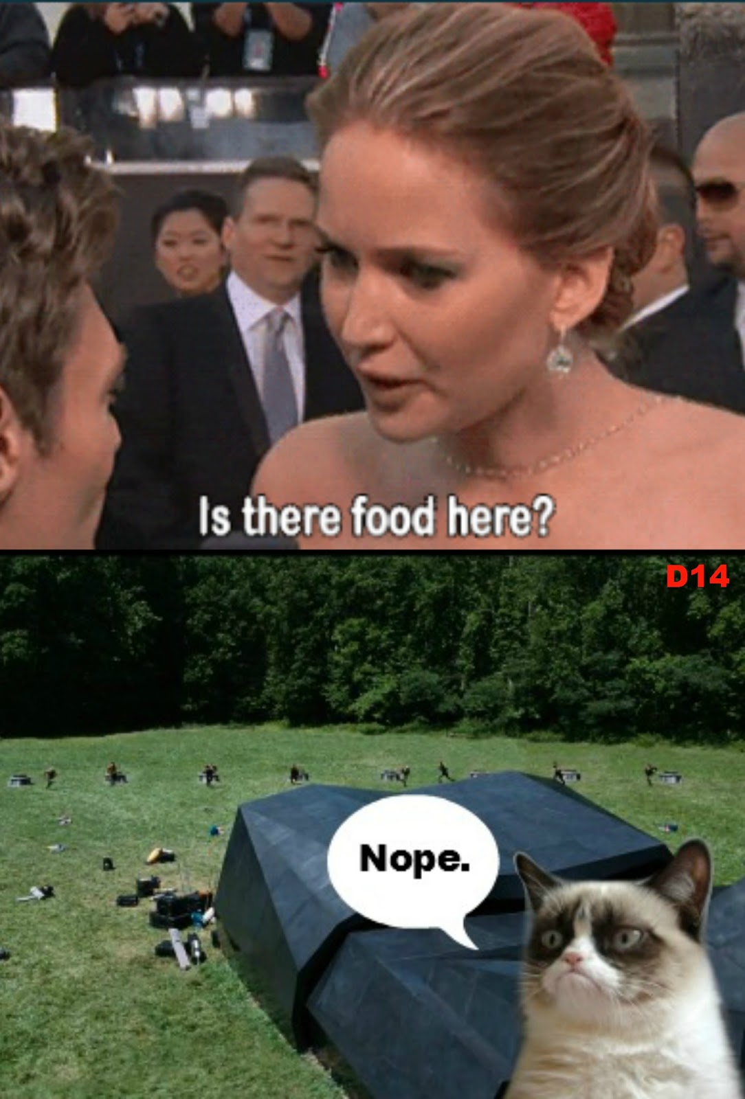 District 14 Memes