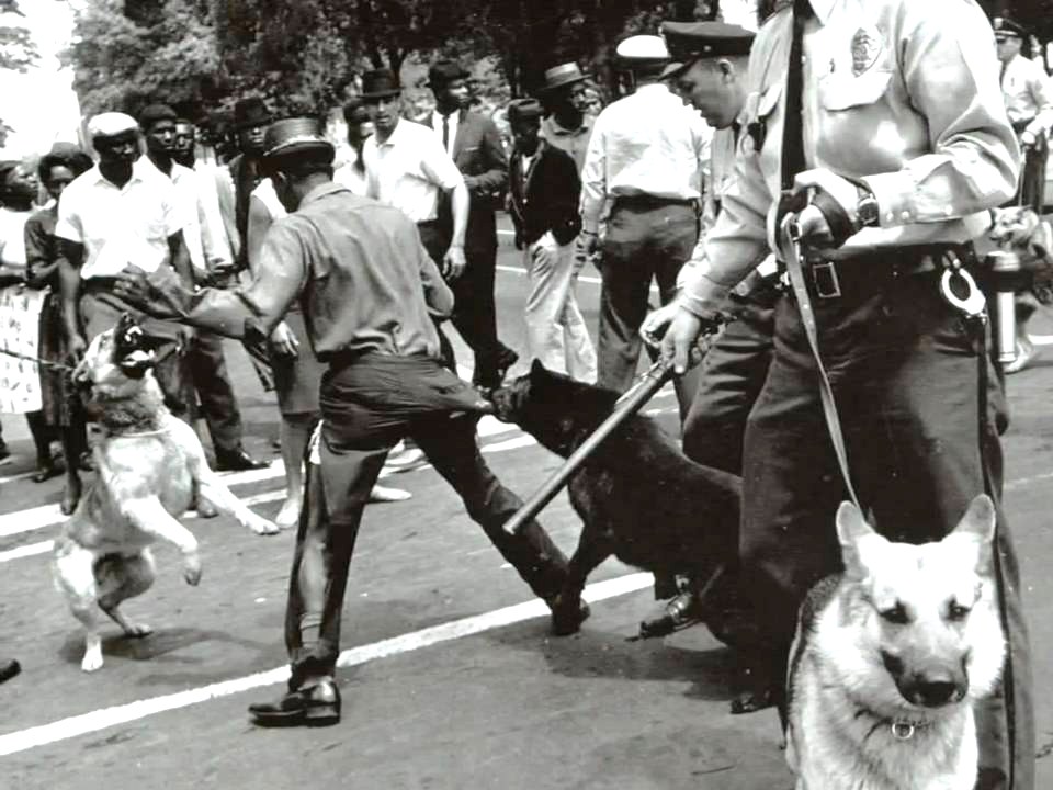 Captain Future's Dreaming Up Daily: A Bull Connor Moment in North ...