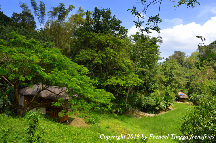 Frenz Fries: Lotus Valley Farm, San Juan La Union