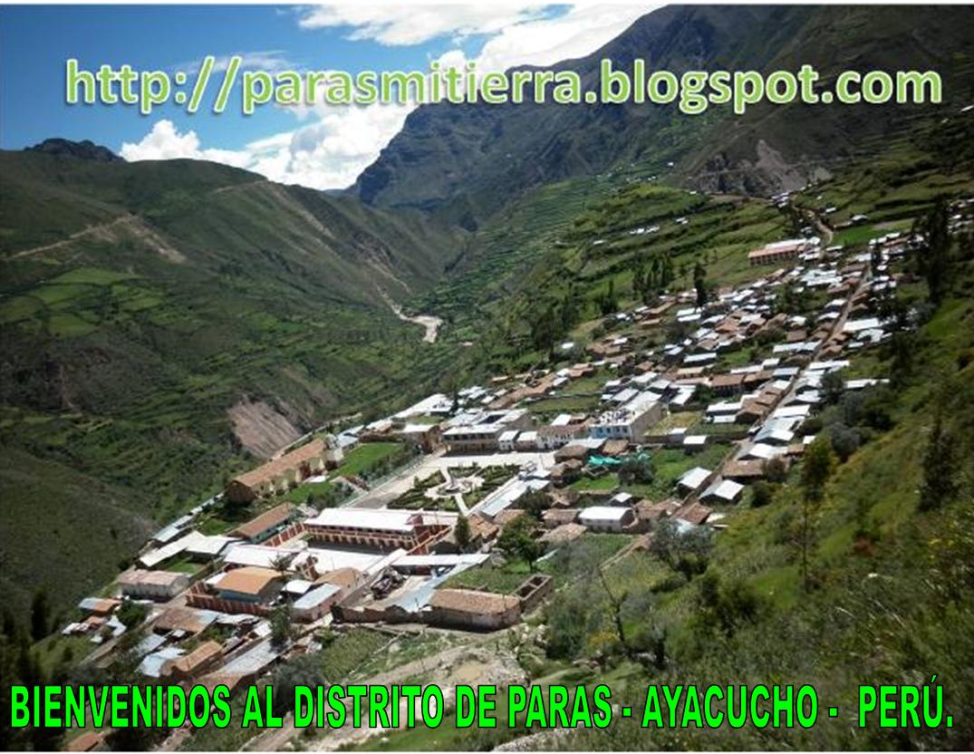 DISTRITO DE PARAS: DISTRITO DE PARAS, ABRIL 2011.