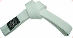 Taekwondo WTF: ¿Sabes que significa el color de tu cinta?
