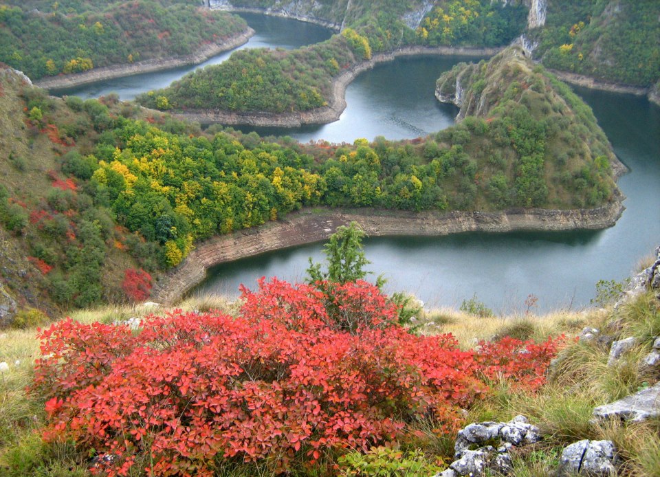 Όμορφος κόσμος, μαγικός: Οι μαίανδροι του ποταμού Uvac στη Σερβία