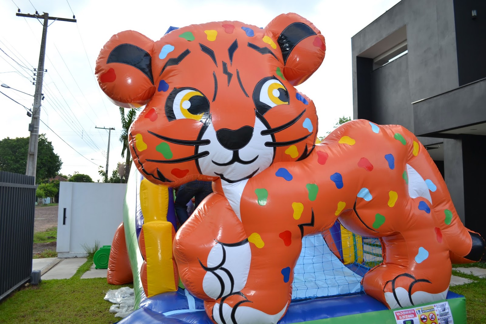 Onça Pintada - Aluguel de Brinquedos: NOVIDADE - TOBOGÃ ONÇA PINTADA