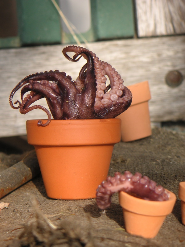 paradis express: Erika Moen