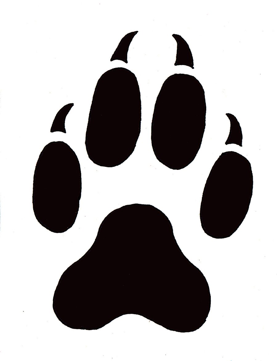 OS LOBOS AO LONGO DA TERRA O ltimo Reduto Nasci Para Ser Selvagem os-lobos-ao-longo-da-terra-o-ltimo-reduto-nasci-para-ser-selvagem