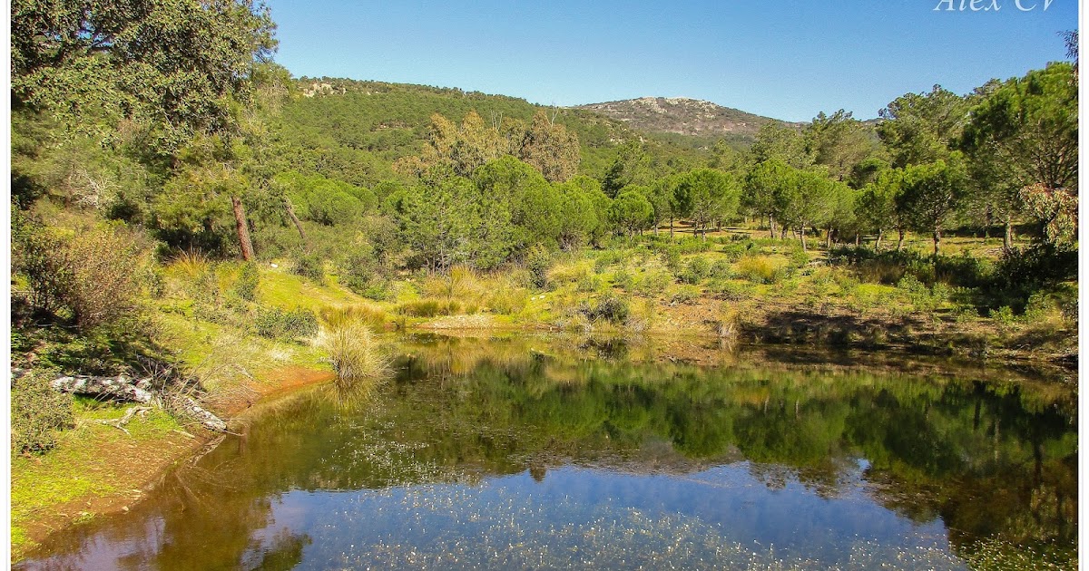 POR LOS CERROS DE ÚBEDA: CIRCULAR MIRANDA DEL REY, CASA DEL HORNILLO ...