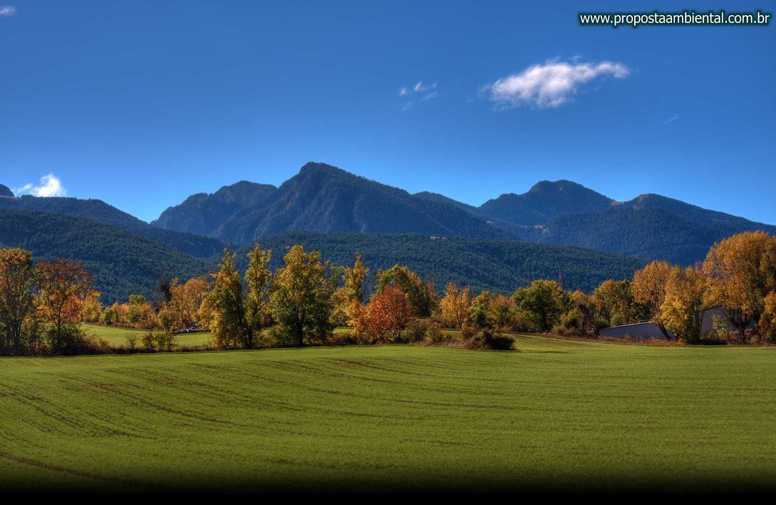 Proposta Ambiental: Imagens para usar na sua tela
