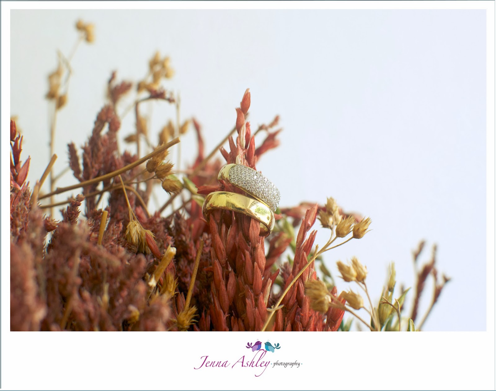 Jenna Ashley Photography: Fadzai & Tawanda. A gorgeous green wedding at ...
