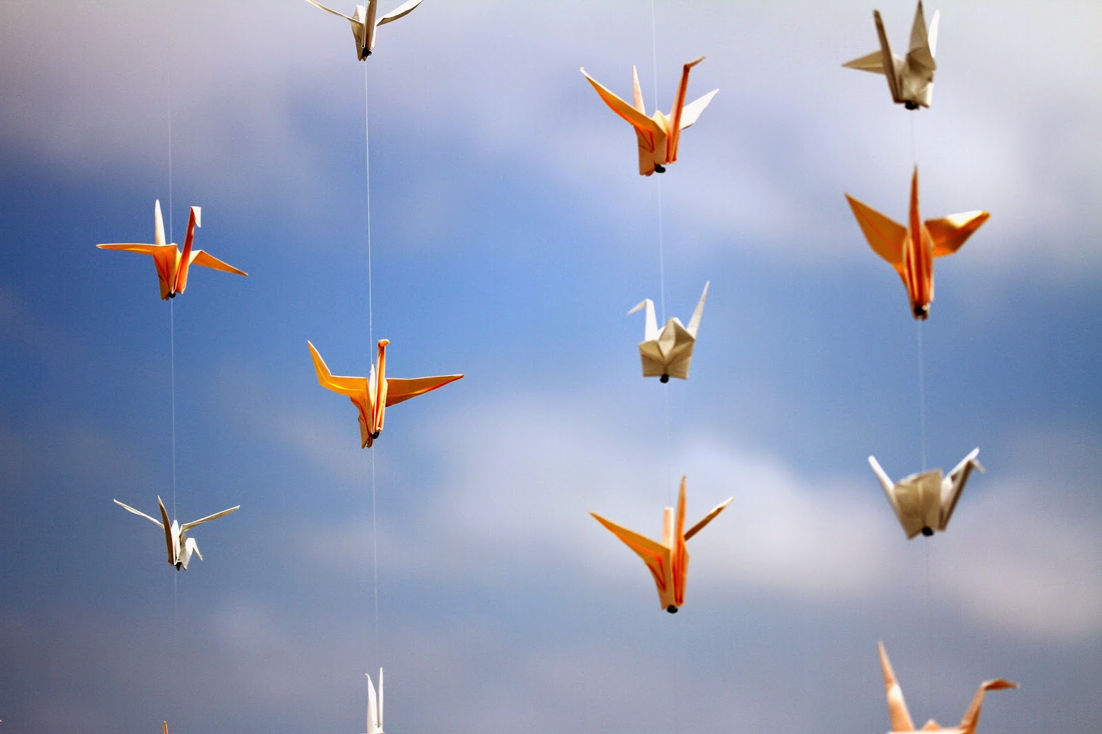 Sherri Cassara Designs: A beautiful wedding and a thousand cranes