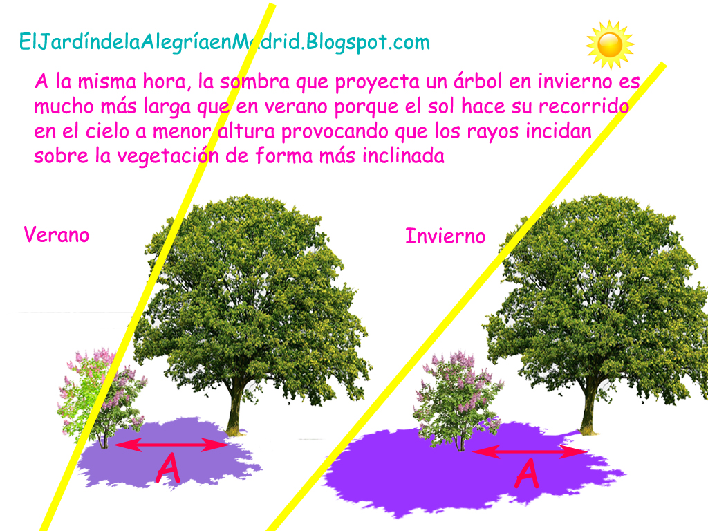 El jardín de la alegría : Las sombras en el jardín. La utilidad de ...