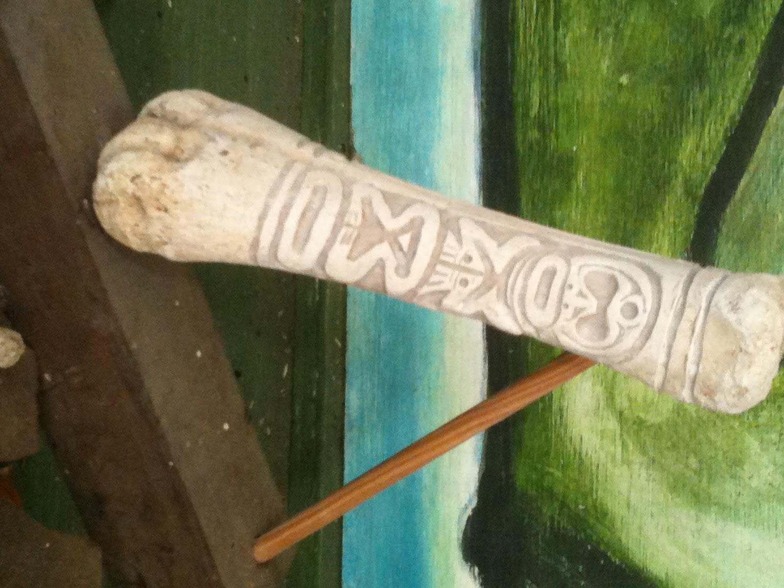 Life from the Left Lane: The home schoolers go indigenous with the ...