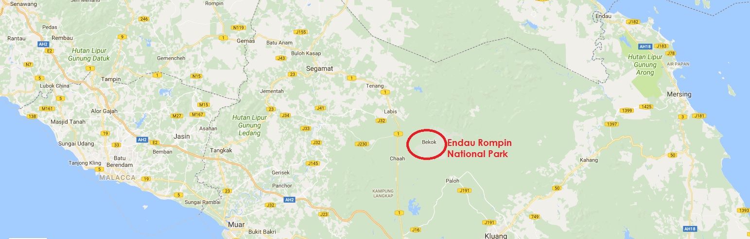 DESTINATION AILLEURS: Parc National d'Endau-Rompin