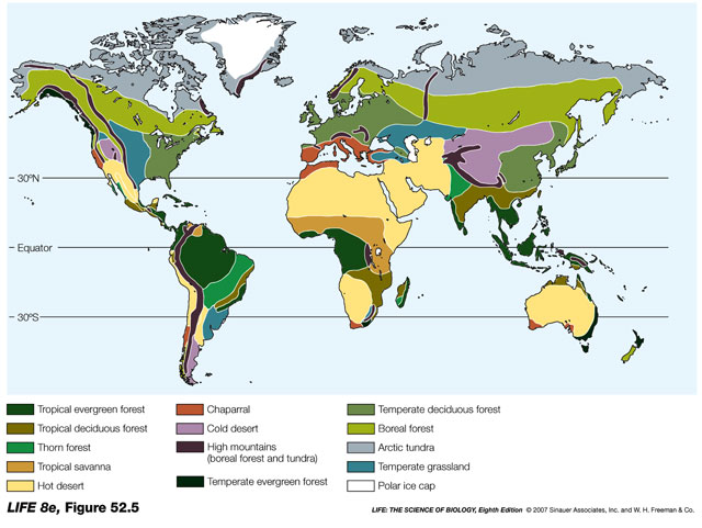 Forest Biome: Latitude Of Temperate Forest Biome