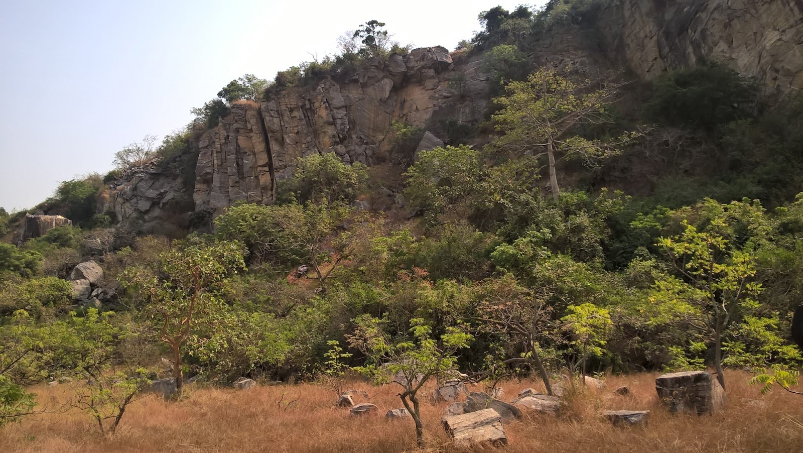 Non-Stop Birding: Ghana Day 2 Shai Hills