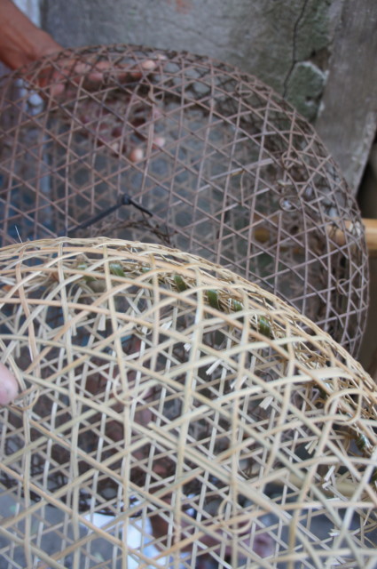 Awesome Bulusan!: Tuob as Indigenous Knowledge: Aligning with the ...